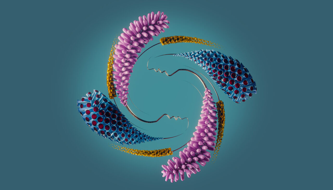 How Celeste composer Lena Raine went from playing video games to ...