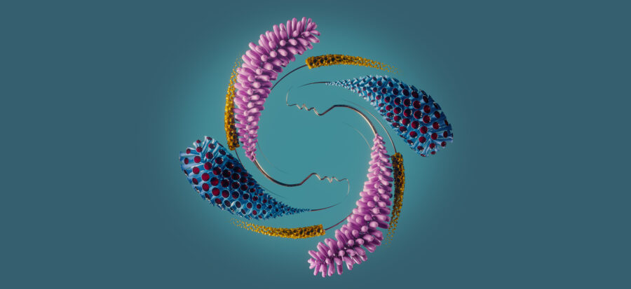 Mastering the art of vocal layering: a step-by-step guide | Native ...